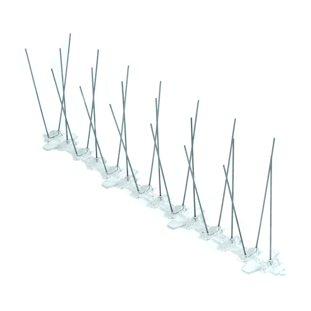 Stainless Steel 4 Point Bird Spikes - 1m – TSE Supply