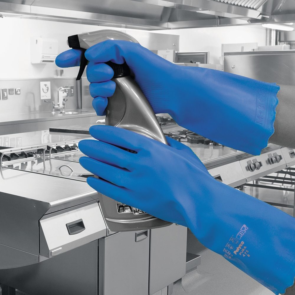 Polyco Pura Latex Free PVC Glove – TSE Supply